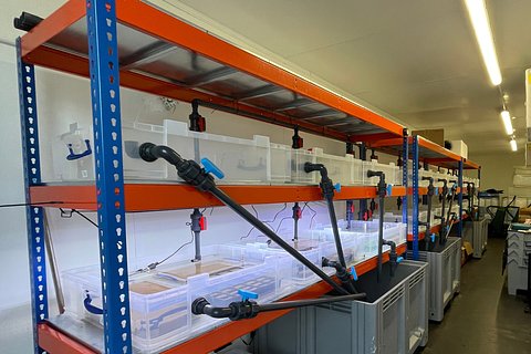 Process Optimisation | Cleveland Containers